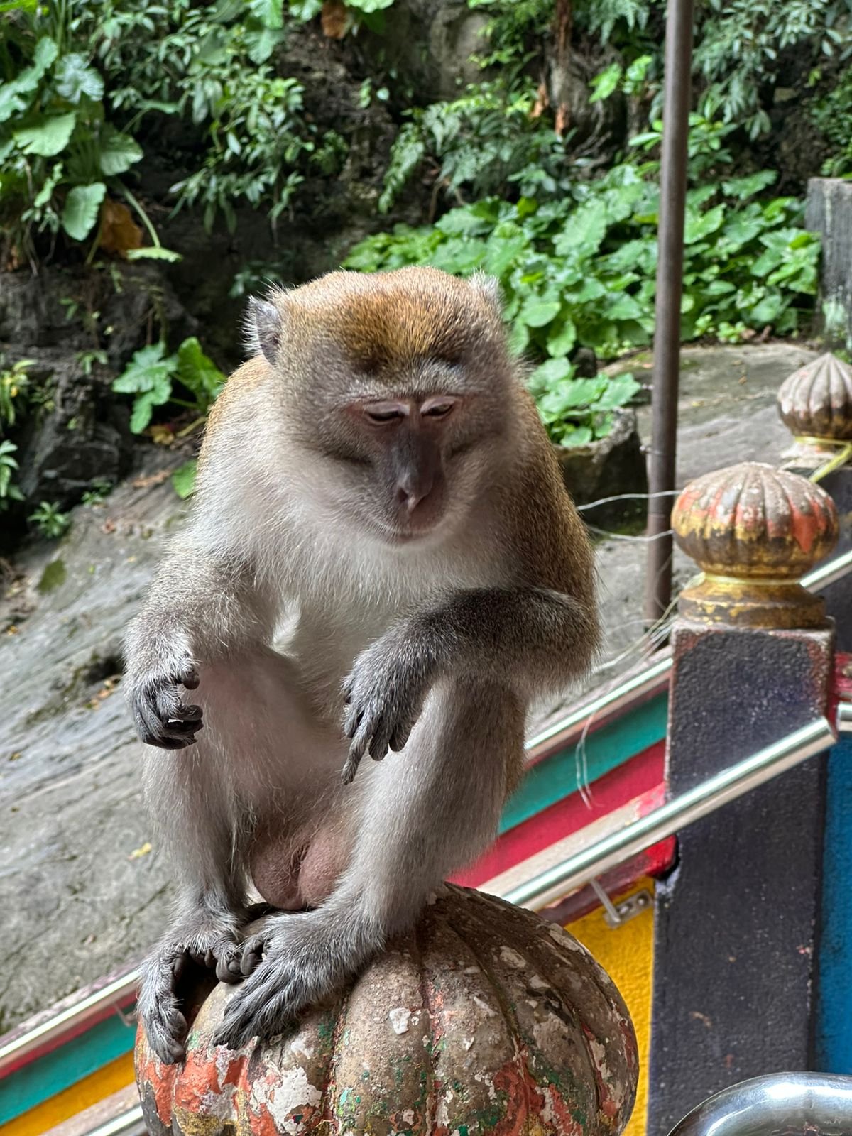 Kuala Lumpur Batu Caves: How to Visit Malaysia’s Most Iconic Hindu ...